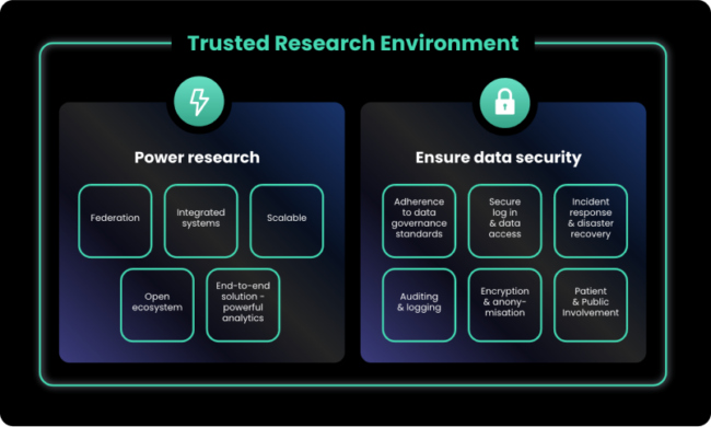Maximizing Research Efficiency with Trusted Research Environments - Lifebit